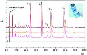 LC with electrochemical and UV detection for analysis of a formulation ...