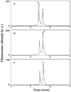 Conformational dynamics of DNA bulge loops investigated by CE-LIF ...