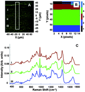 A comparison of Raman, FTIR and ATR-FTIR micro spectroscopy for imaging ...