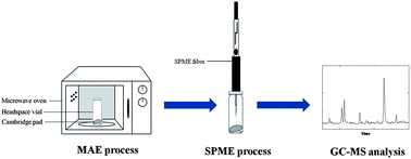 Development of microwave-assisted headspace solid-phase microextraction followed by gas ...