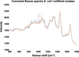 Identification of bacteria in drinking water with Raman spectroscopy ...