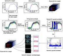 Nondestructive measurement of total volatile basic nitrogen (TVB-N ...
