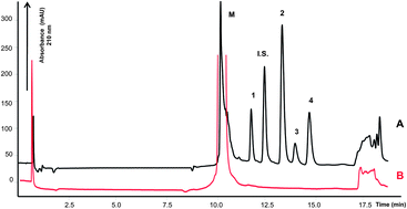 A fast on-line micro-column sample pretreatment with a HPLC column ...