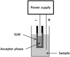 Recent developments in electromembrane extraction - Analytical Methods ...