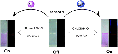 A new off–on chemosensor for Al3+ and Cu2+ in two different systems based on a rhodamine B ...