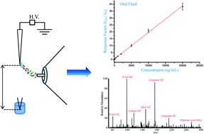 Direct detection of trace level illicit drugs in human body fluids by ...
