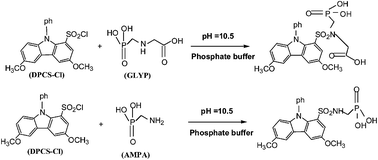 Determination of glyphosate and aminomethylphosphonic acid in soybean ...