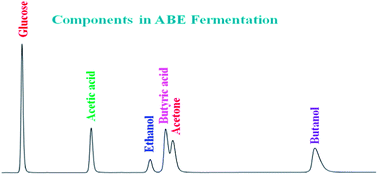 Acetone-butanol-ethanol fermentation analysis using only high ...