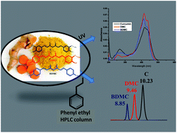 Separation and identification of curcuminoids in turmeric powder by ...