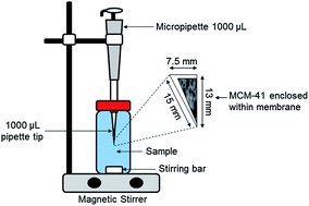 Solid-phase membrane tip extraction combined with liquid chromatography ...