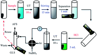 Magnetic solid-phase extraction combined with in situ slurry cold vapor ...