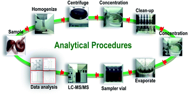 Determination of 187 pesticide residues in edible fungi by liquid ...