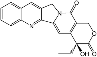 Separation of camptothecin from Camptotheca acuminate samples using ...