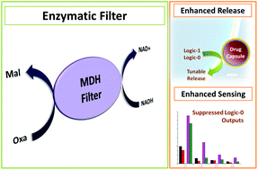 Enzymatic filter for improved separation of output signals in enzyme ...