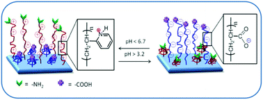Covalent attachment of multilayers (CAM): a platform for pH switchable ...
