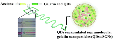 Supramolecular gelatin nanoparticles as matrix metalloproteinase ...