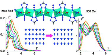 Field-modified multiple slow relaxations in a metamagnet composed of ...