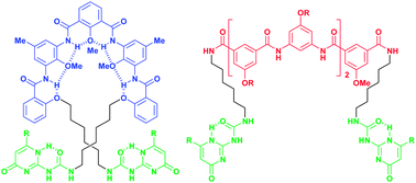 Foldamer-based chiral supramolecular alternate block copolymers tuned ...