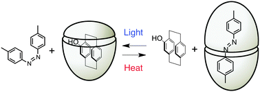 Reversible switching between self-assembled homomeric and hybrid ...