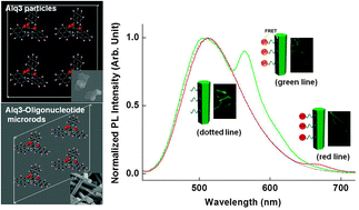 Oligonucleotide assisted light-emitting Alq3 microrods: energy transfer ...