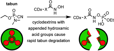 Tabun scavengers based on hydroxamic acid containing cyclodextrins ...