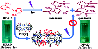 Cucurbit[7]uril as a “protective agent”: controlling photochemistry and ...