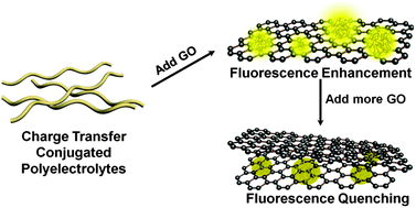 Graphene oxide enhanced fluorescence of conjugated polyelectrolytes ...