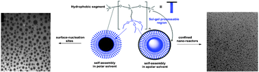 Self-templating amphiphilic polysiloxanes to design nanostructured ...