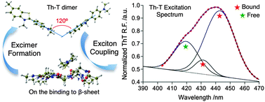 Thioflavin-T excimer formation upon interaction with amyloid fibers ...