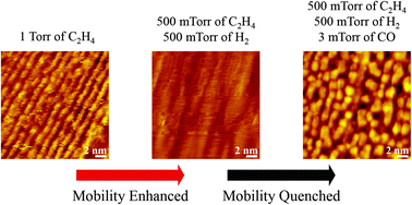 Mobility on the reconstructed Pt(100)-hex surface in ethylene and in ...
