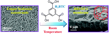 Room temperature synthesis of free-standing HKUST-1 membranes from copper hydroxide nanostrands ...