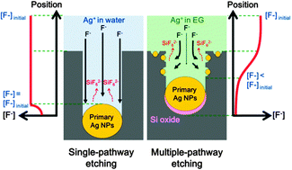 Morphological transition of Si surfaces from solid nanowires to porous ...