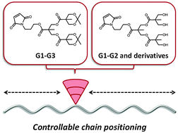 Sequence-controlled polymerization using dendritic macromonomers ...