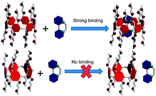 A pillar[6]arene with mono(ethylene oxide) substituents: synthesis and complexation with diquat ...