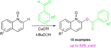 Direct 2-acetoxylation of quinoline N-oxides via copper catalyzed C–H ...
