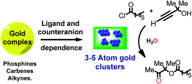 Formation and stability of 3–5 atom gold clusters from gold complexes ...