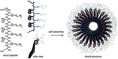 Fabrication of artificial toroid nanostructures by modified β-sheet ...