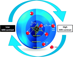 Environmentally responsive MRI contrast agents - Chemical ...
