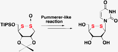 Synthesis of a novel 1,2-dithianenucleoside via Pummerer-like reaction ...