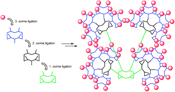 Expanding the scope of oxime ligation: facile synthesis of large ...