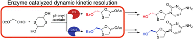 Efficient asymmetric synthesis of lamivudine via enzymatic dynamic ...