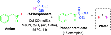 Phosphoramidate synthesis via copper-catalysed aerobic oxidative ...