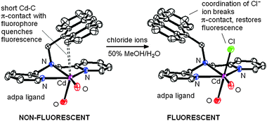Mechanism of chelation enhanced fluorescence in complexes of cadmium(ii ...