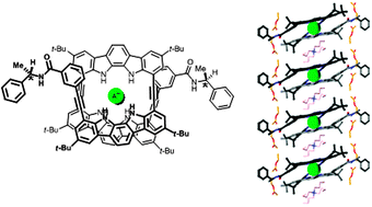 A chiral indolocarbazole foldamer displaying strong circular dichroism ...