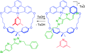Acid–base responsive switching between “3+1” and “2+2” platinum ...
