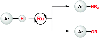 C–H nitrogenation and oxygenation by ruthenium catalysis - Chemical ...