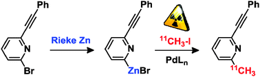 Negishi coupling reactions as a valuable tool for [11C]methyl-arene ...