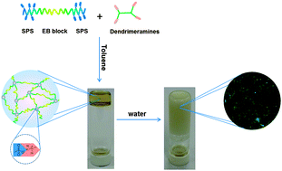 High internal phase emulsion (HIPE) organogels prepared from charge ...