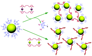 Metallamacrocycle-modified gold nanoparticles: a new pathway for ...