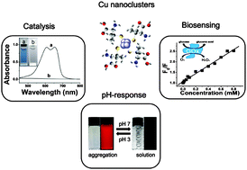Stable Cu nanoclusters: from an aggregation-induced emission mechanism ...